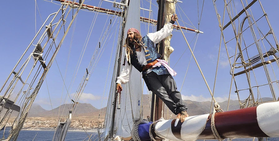 ¿Qué es pirata ? - definición, significado y ejemplos